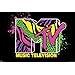 Amazon.com: MTV Poster - MTV - MTV Logo Landscape - 24 x 36 Poster ...