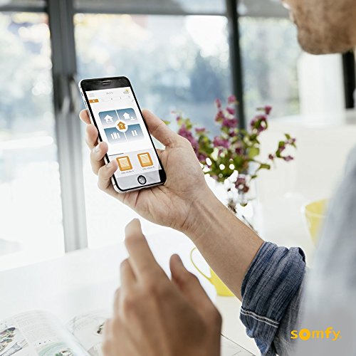 somfy SunSetter Awning Wireless Wind Sensor for SunSetter Motorized ...