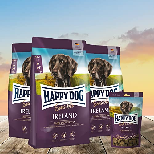 Happy Dog Ireland – Die 16 besten Produkte im Vergleich ...