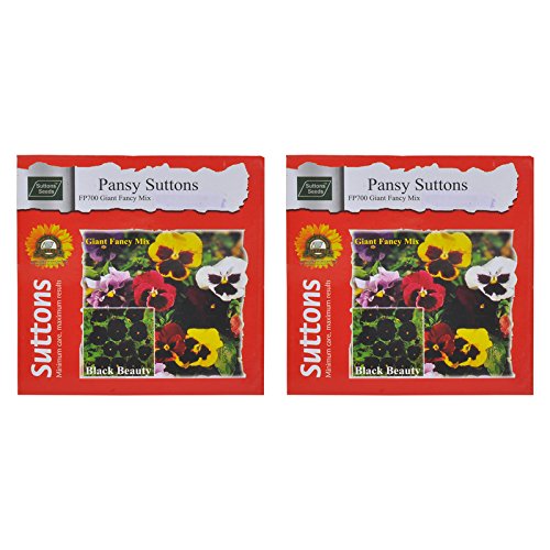 Sutton Seeds Pansy SUTTONS-Giant FANCY-MIXED-FP700 Flower Seeds-Pack of ...