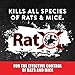 Amazon.com: EcoClear Products 620101, RatX All-Natural Humane Rat and ...