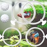 ・ブランド:CYG&amp;CL・製造元:CYG&amp;CL・モデル:BETTA-TRAINING-RINGWHITE・製造元/メーカー部品番号:BETTA-TRAINING-RINGWHITE・Betta Fish Enrichment...