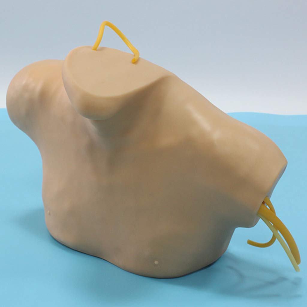 Wjh 1 1 Life Size Central Venous Puncture Cannula Model | Desertcart INDIA