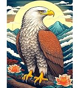 Amazon.com: SANYUN Hawk Diamond Art Kits for Adults &Beginner, Animals ...