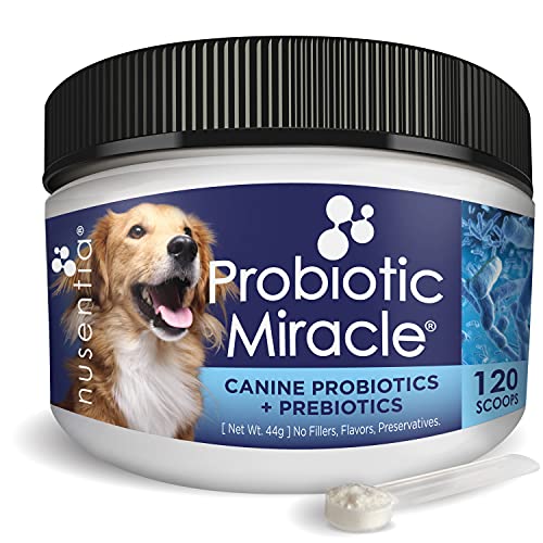 Reviews for NUSENTIA Probiotics for Cats & Dogs | BestViewsReviews
