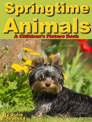 Springtime Animals (Fun Picture Books For Children Book 3) - Kindle ...
