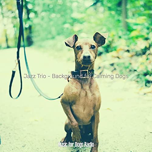 Jazz Trio - Background for Calming Dogs de Music for Dogs Radio en ...