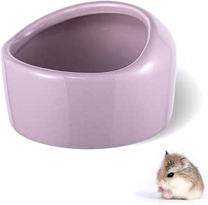 Amazon.com : Jczw Small Animal Bowl Ceramic Hamster Bowl Hamster Food ...