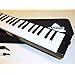 Amazon.com: Deluxe Harris Musical Black Melodica with Matching Black ...