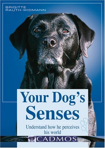 Your Dog's Senses: Understand How He Perceives His World: Amazon.co.uk ...