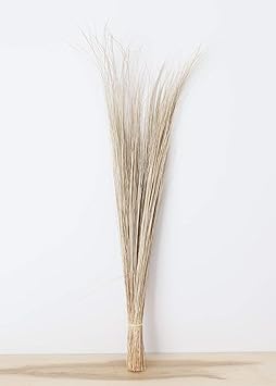 Amazon.com: Afloral Tall Preserved Bright Grass 36" - 40" : Home & Kitchen