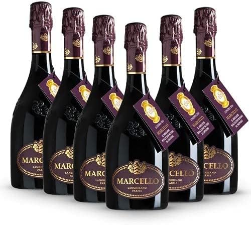 MARCELLO LAMBRUSCO ARIOLA DRY [ 6 BOUTEILLES x 750ml ] : Amazon.fr ...