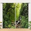Amazon.com: YUANZU Forest Curtains W42 x L63 Inch Nature Tropical ...