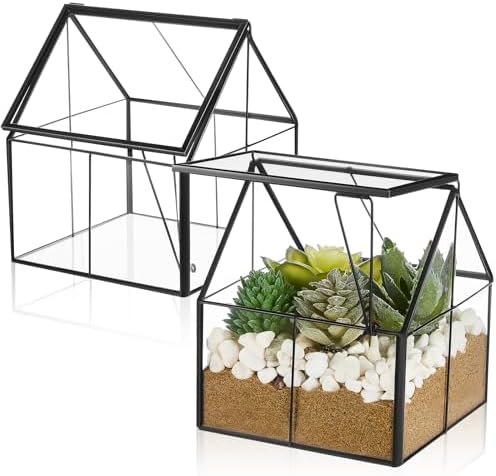 Amazon.com: FillTouch Set of 2 Mini Glass Terrarium Planter with Lid ...