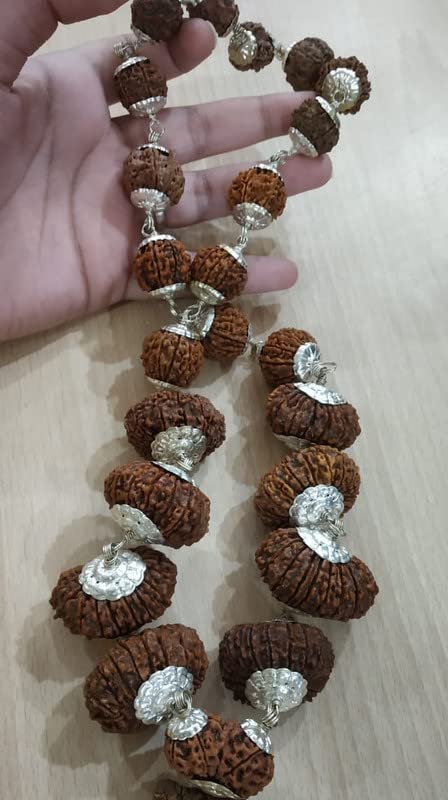 Precious Indrani mala Rudraksha Indrakshi Mala | Indra Mala 1-21 Mukhi ...