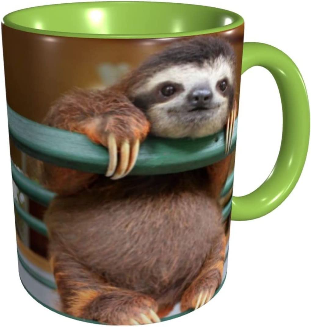 Teacup Sloth