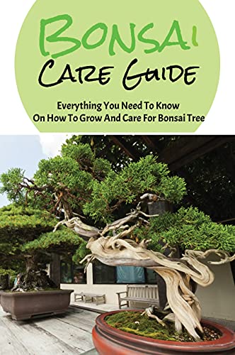 Bonsai Tree Care For Beginners: Ways To Grow And Care For A Bonsai Tree ...