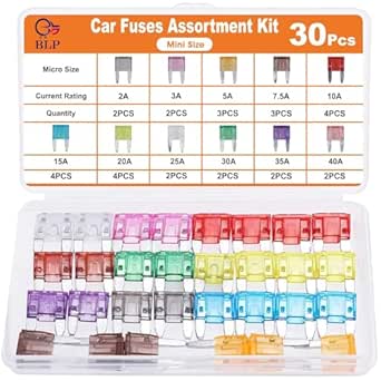 BLP 30Pcs Mini Car Fuse Kit - Mini Blade Fuses Automotive - Replacement ...