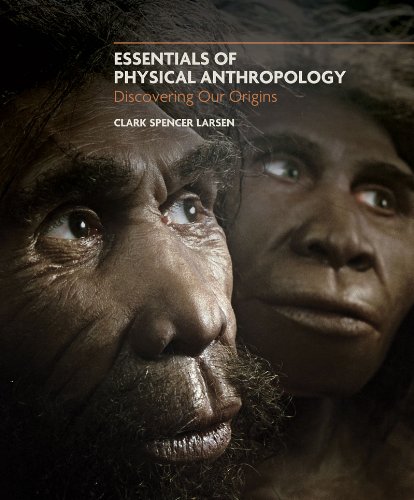 Amazon.com: Essentials of Physical Anthropology: Discovering Our ...