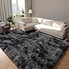 Amazon.com: PAGISOFE Dark Grey Large Area Rugs for Living Room Carpet ...