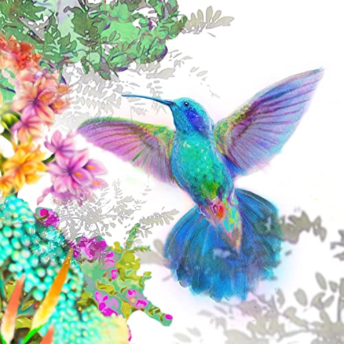 Hummingbirds by Dhani Song on Amazon Music - Amazon.com