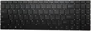 Amazon.com: Laptop Keyboard for Ninkear N16 Pro English US with Backlit ...