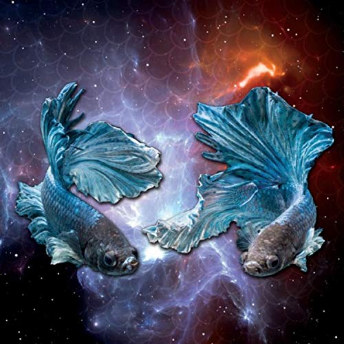 Play Musiquarium Volume Two by Gamble Cosmos on Amazon Music