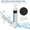 APEC FI-ES-TCR-QC 10" High Capacity Inline Carbon Filter with 1/4 ...
