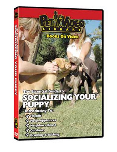 Amazon.com: SOCIALIZING YOUR PUPPY DVD! Start your Dog on the Right Paw ...
