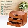 Amazon.com: Triple Drawer Desktop Storage Organizer in Modern Wood ...
