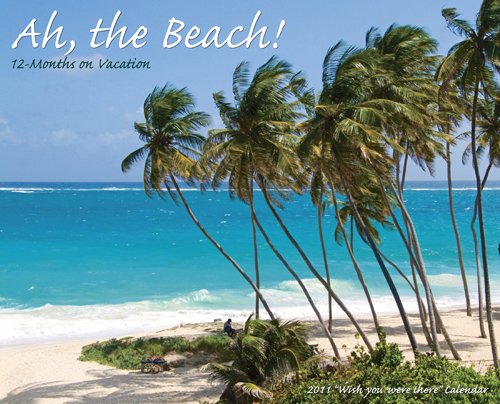 Amazon.com: Ah! The Beach 2011 Wall Calendar: 9781607550662: Willow ...