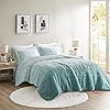 Amazon.com: Intelligent Design Brielle, Long Shaggy Faux Fur Comforter ...