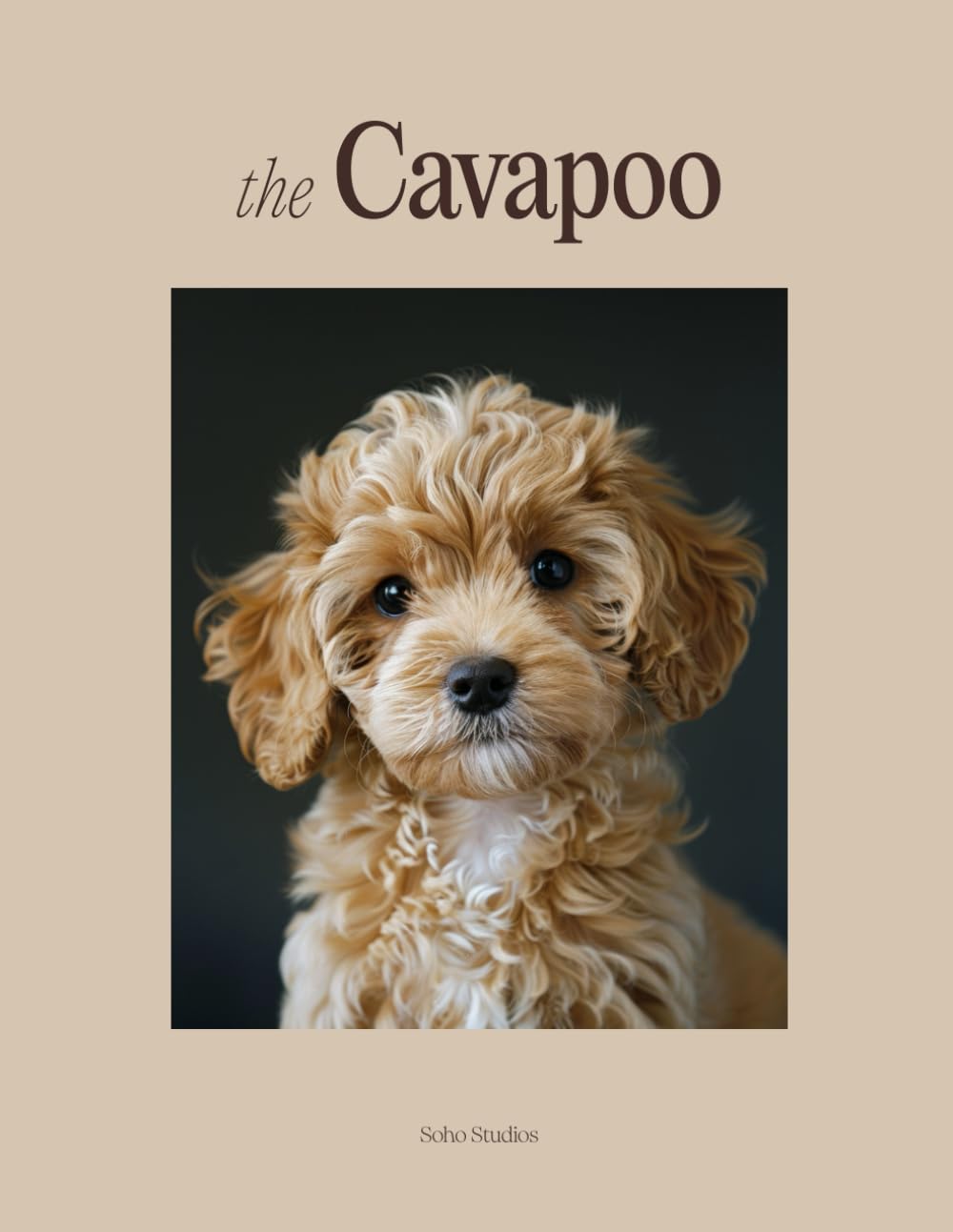 Amazon.com: The Cavapoo: A Photography Coffee Table Book: 9798880375066 ...