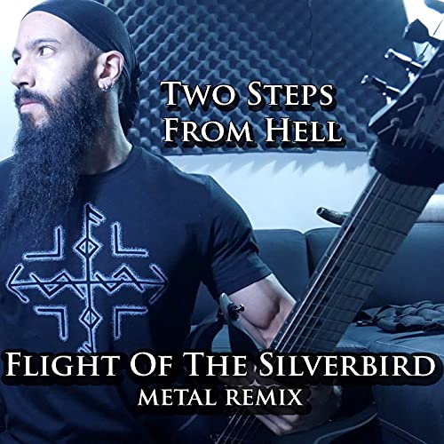 Play Flight of the Silverbird (Metal Remix) by Vincent Moretto on ...