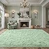 Nuttumico Fluffy Fuzzy Sage-Green Rugs for Bedroom, 4x6 Feet Soft Non ...