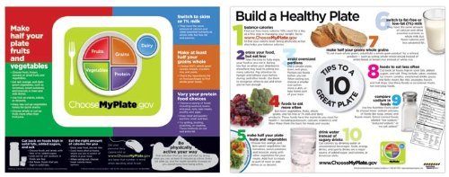 MyPlate Handouts: Amazon.co.uk: Books
