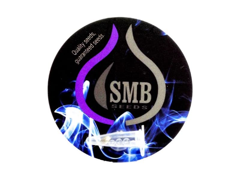 Auto Seeds – Die 16 besten Produkte im Vergleich & Angebote ...