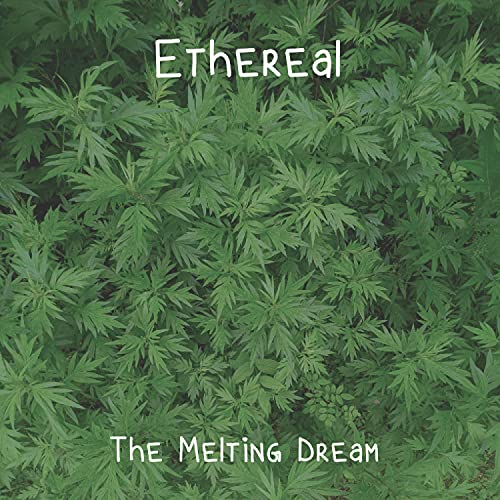Ethereal de Albert Wolfe en Amazon Music Unlimited