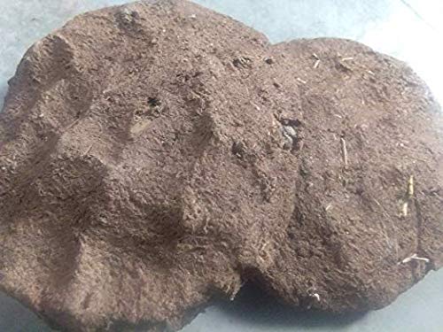 Organic 100% Pure Cow Dung (GOBAR KE UPLE) Cake for Hawan Kund, Pujan ...