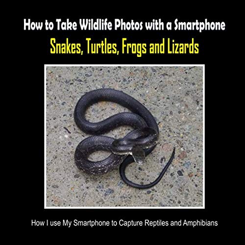 Snakes, Turtles, Frogs and Lizards: How I Use My Smartphone to Capture ...