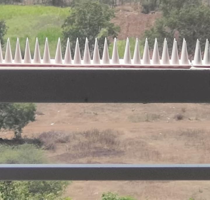 SPIKESTORE Set of 10 Bird Spikes with Double Tape Spikes for AC/Balcony ...