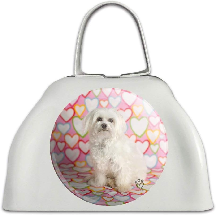 Amazon.com: Maltese Puppy Dog Hearts Love White Metal Cowbell Cow Bell ...