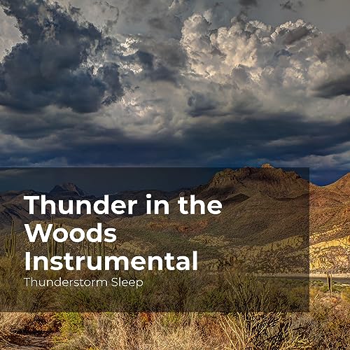 Thunder in the Woods Instrumental by Thunderstorm Sleep, Thunderstorm ...