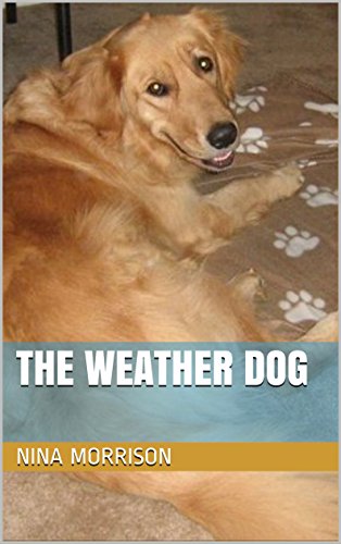 The Weather Dog - Kindle edition by Morrison, Nina. Crafts, Hobbies ...