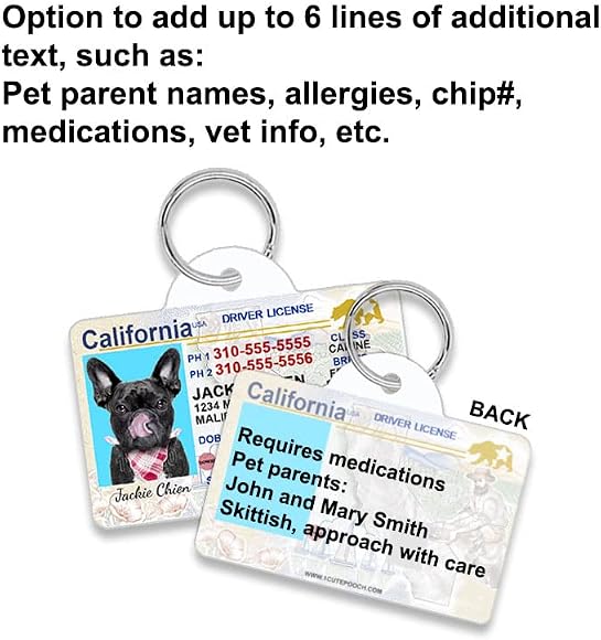 Do You Need A License For A Dog In California