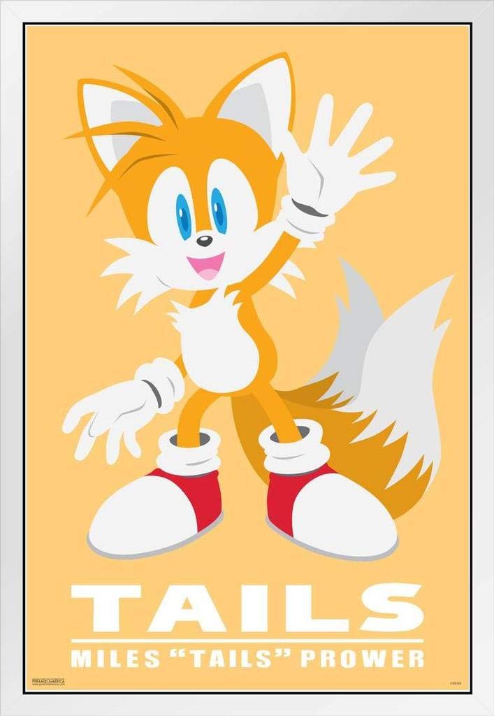 Buy Pyramid America Sonic The Hedgehog Tails Video Game Gaming White ...