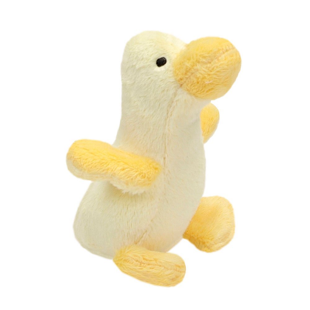 Amazon.com: Coastal Lil' Pals Plush Small Dog/Pet Toy w/Squeaker (Duck ...