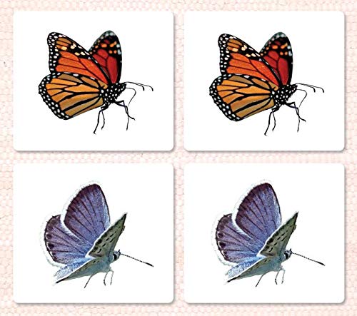 Butterfly Matching Cards: Maitri Learning: 9781606290682: Amazon.com: Books