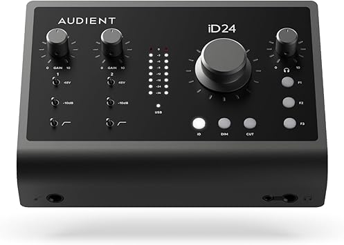 Amazon.com: Audient iD24 USB-C Audio Interface : Musical Instruments
