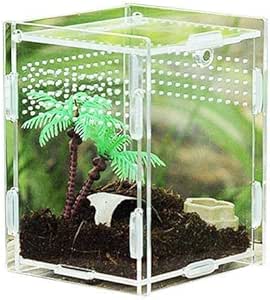 Amazon.com : Insect Feeding Box Acrylic Reptile Breeding Box ...